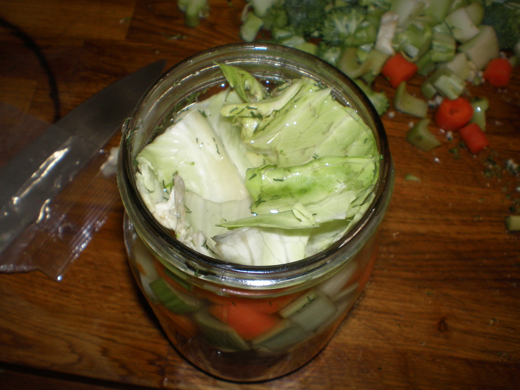 Lacto-Fermentation (with pictures!) | How We Flourish