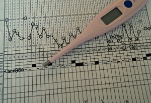 Fertility Awareness Method (How to Chart Series) | How We Flourish